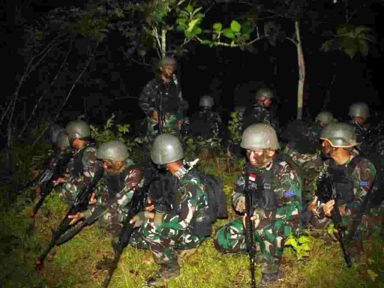 Korps Marinir TNI AL Satgas Pamtas RI-PNG Mobile Papua Gelar Latihan ...